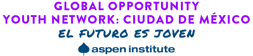 IDENTIDAD VISUAL - GOYN MÉXICO